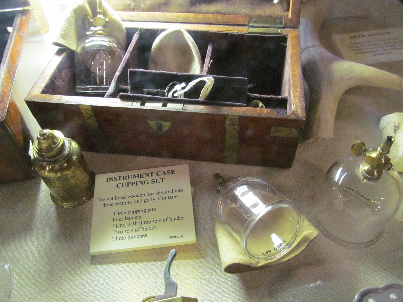 Primitive Physick: Bleeding, Cupping, Vomiting and Pooping